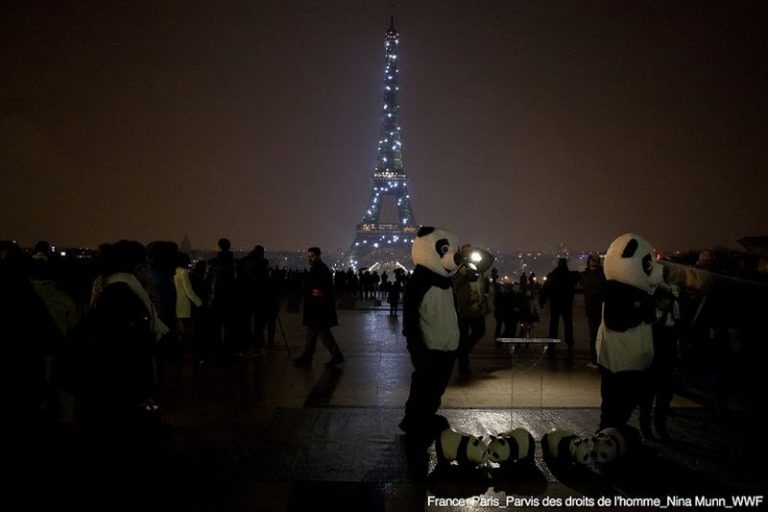 Earth Hour - Family Welcome